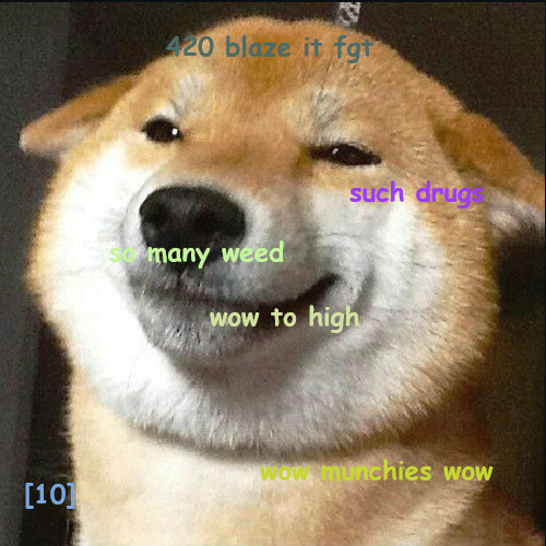 Stoned doge | Doge | Know Your Meme