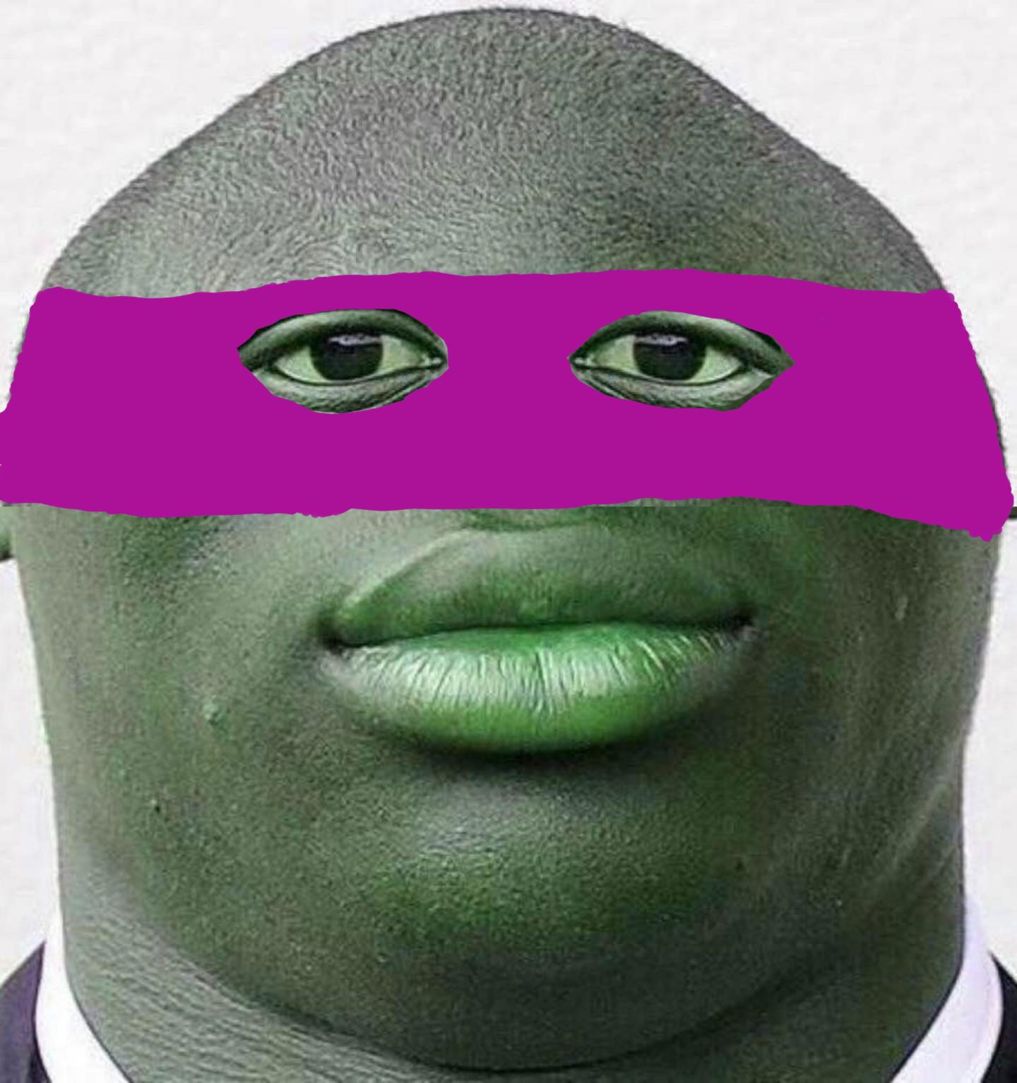 Would Ya Look At That Teenage Mutant Ninja Turtles Know Your Meme