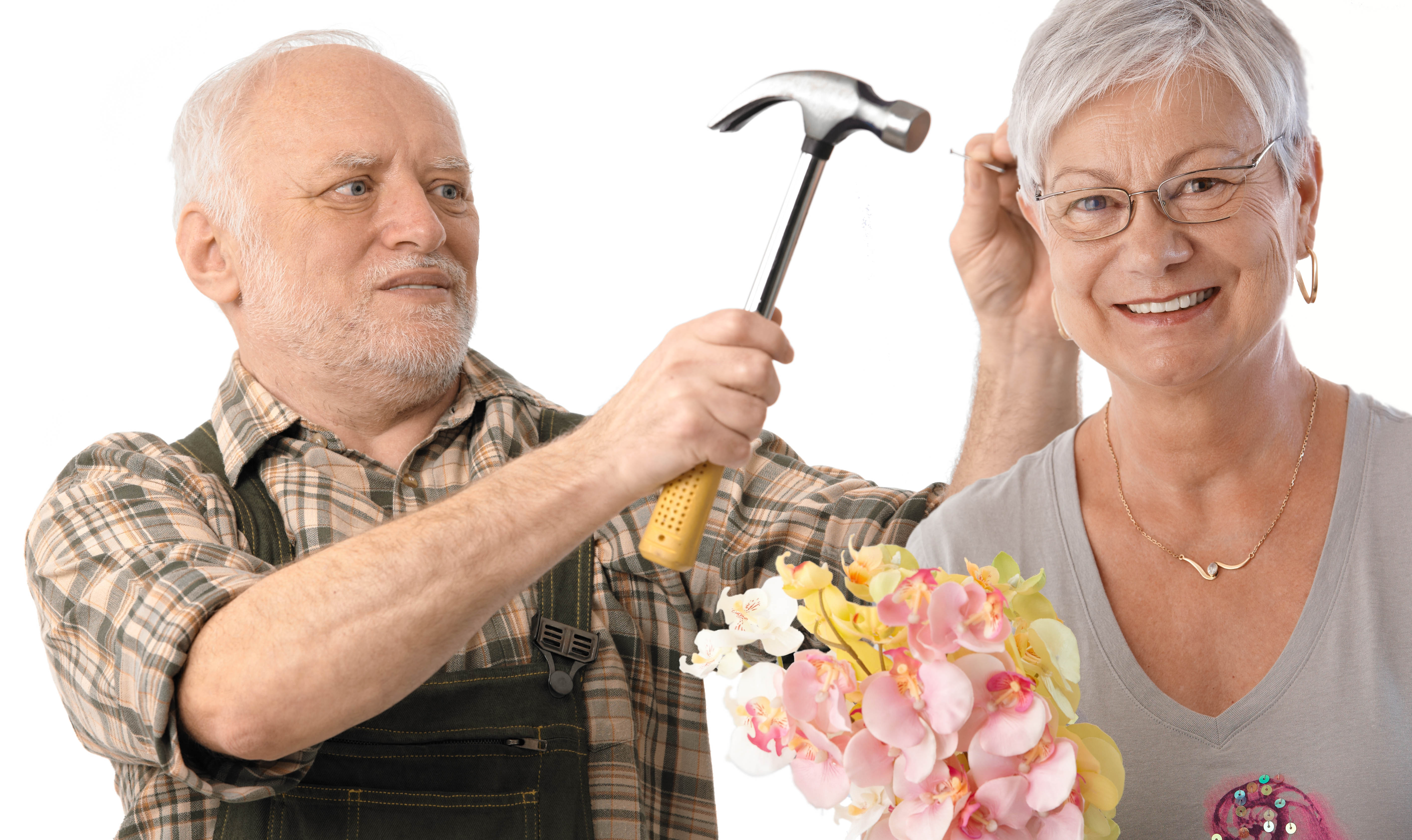 Hitting The Nail Just Right Hide The Pain Harold Know Your Meme