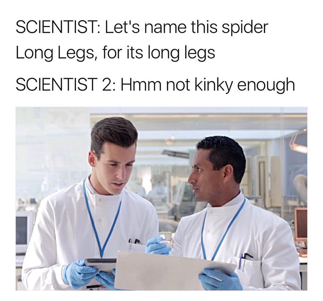 Long Legs Daddy Know Your Meme