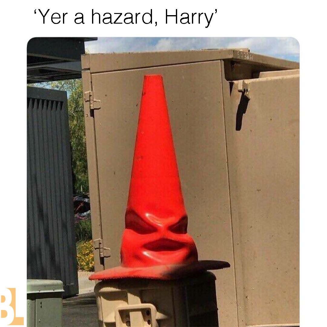 Yer A Hazard Harry You re A Wizard Harry Know Your Meme