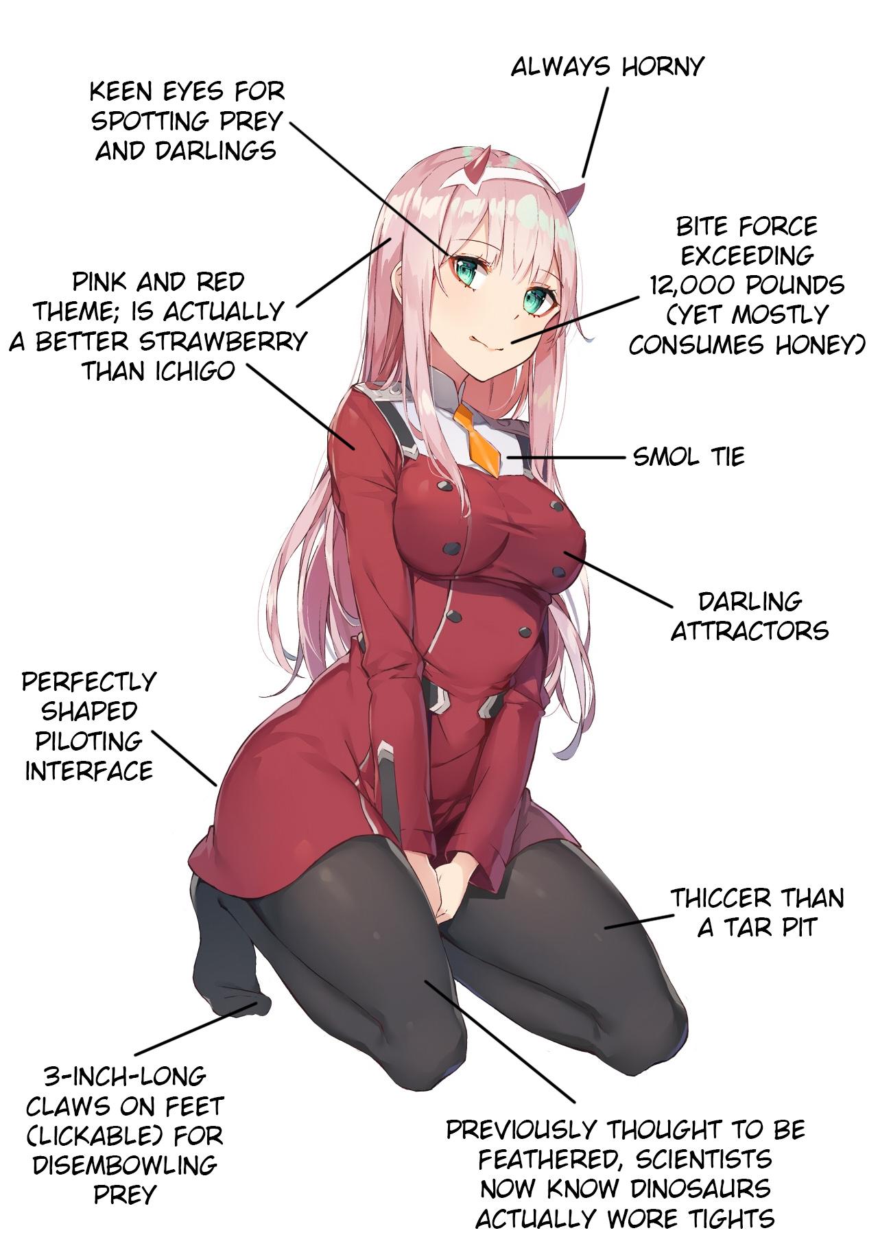 Dinosaur Waifu Info graphic Zero Two Know Your Meme Dinosaur Waifu Info graphic Zero Two Know Your Meme