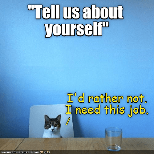 Job interview | Cats | Know Your Meme