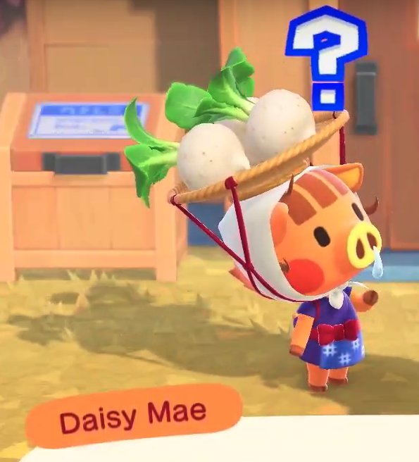 Daisy Mae | Animal Crossing | Know Your Meme