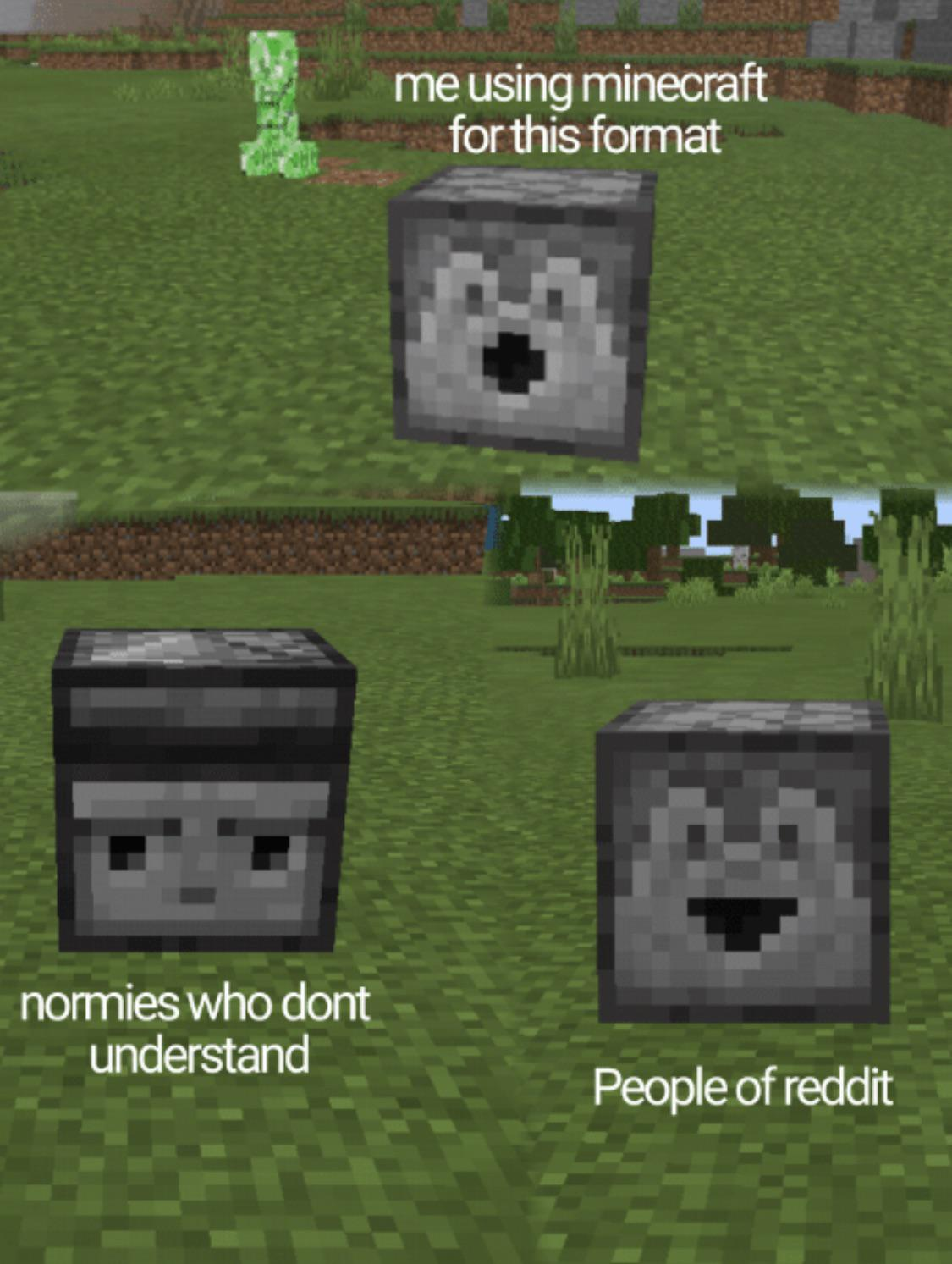 ONLY PEOPLE ON REDDIT GET THIS MEME r ComedyCemetery Comedy