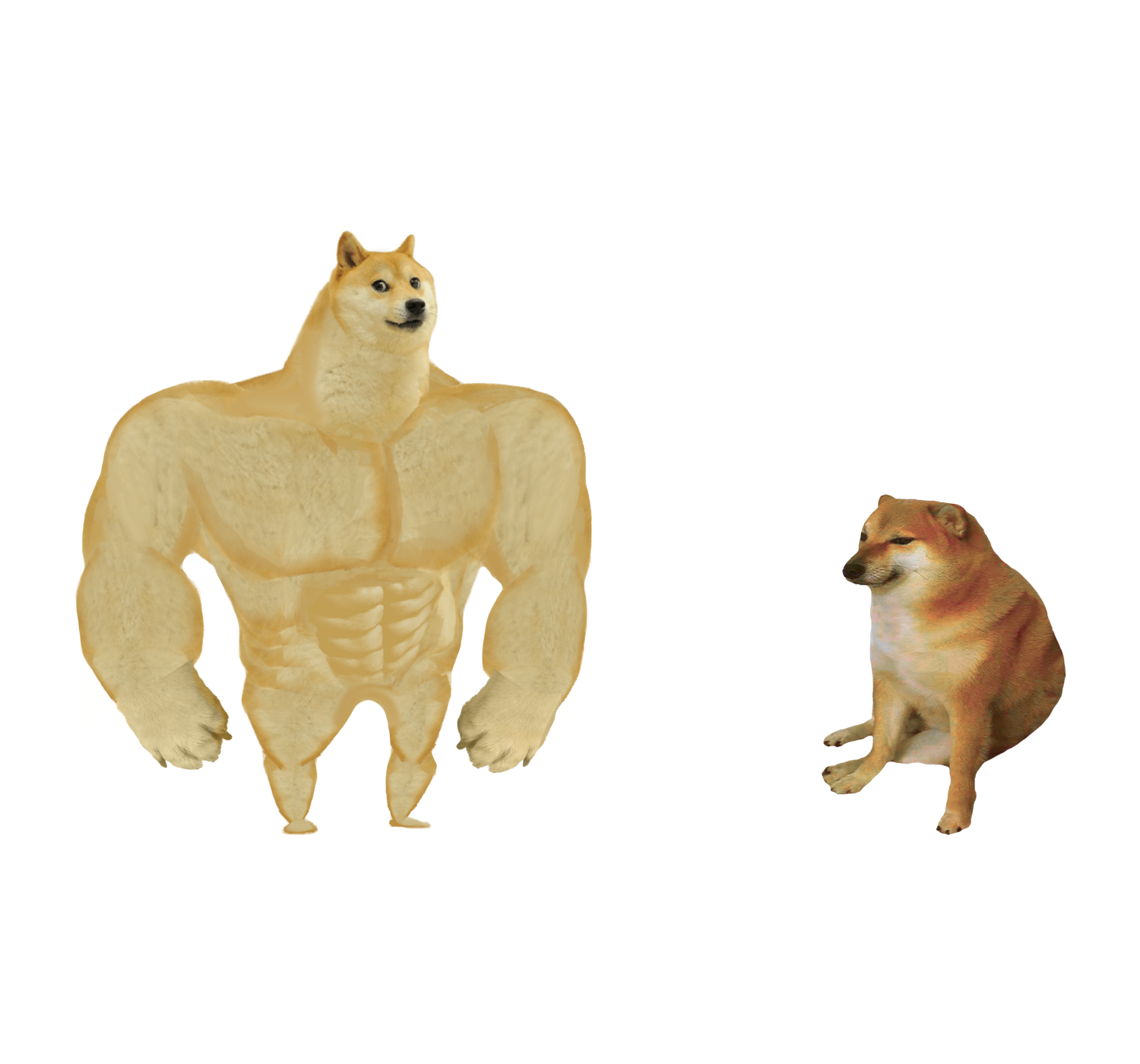 37 Swole Doge Meme Template Cheems Png Transparent