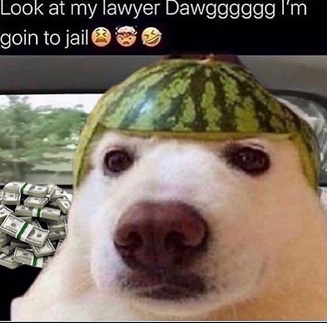 Watermelon Helmet Meme Captions Omega
