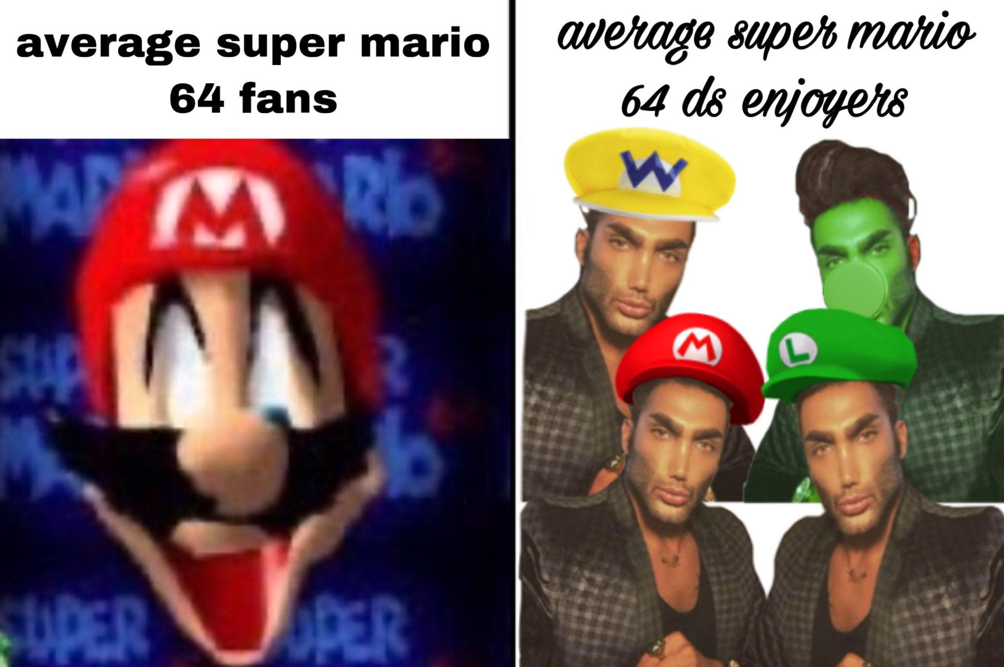 Fan Vs Enjoyer Meme Template Video