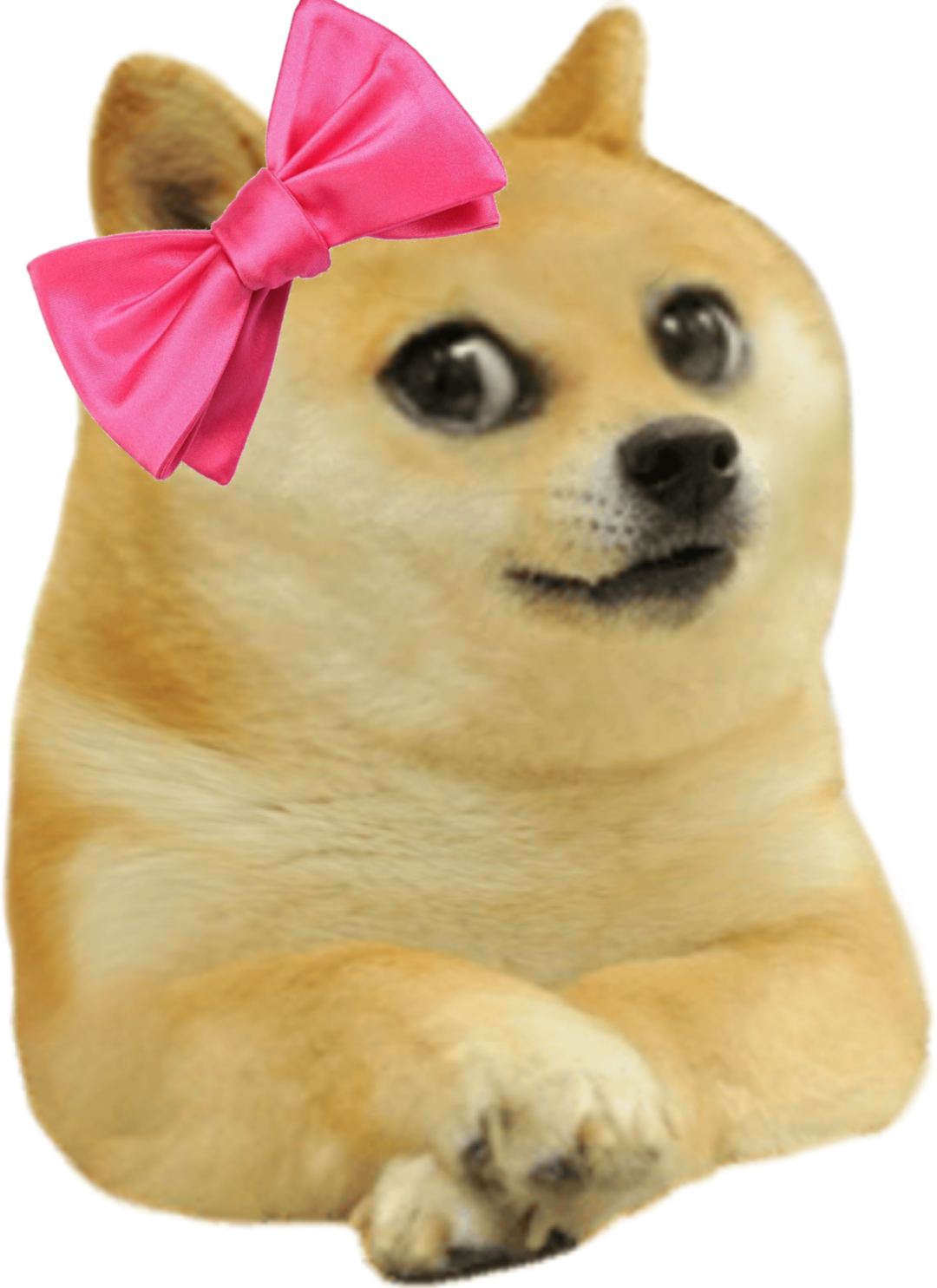Le Girl Kid Doge Has Arrived r dogelore Ironic Doge Memes Know