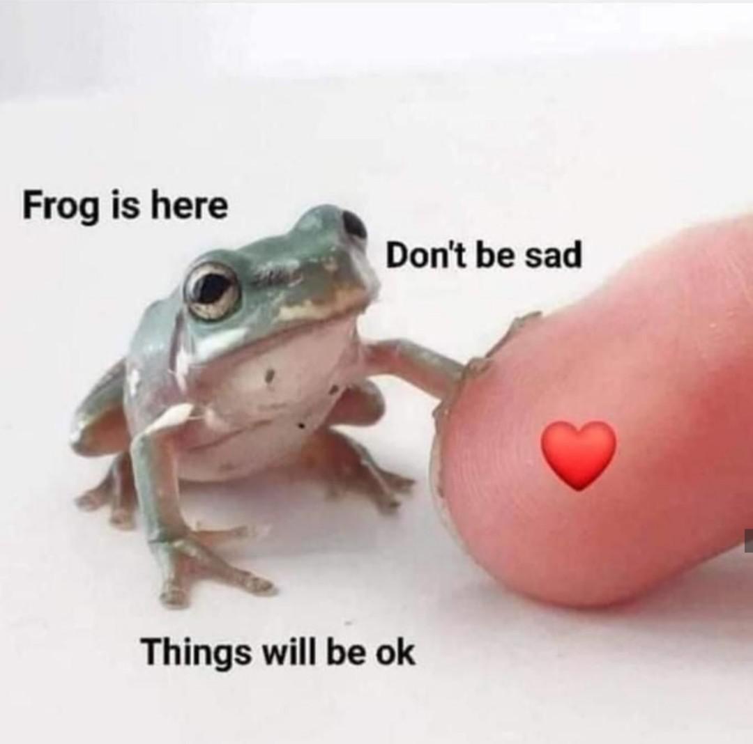 Frog Friend Is Here r wholesomememes Wholesome Memes Know Your Meme