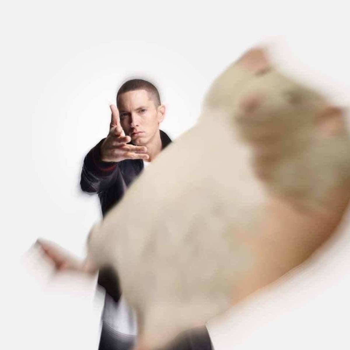 Eminem Throwing A Fat Rat Fat Rat Being Grabbed Know Your Meme