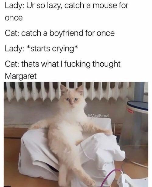 That's what you get for questioning me | Cats | Know Your Meme