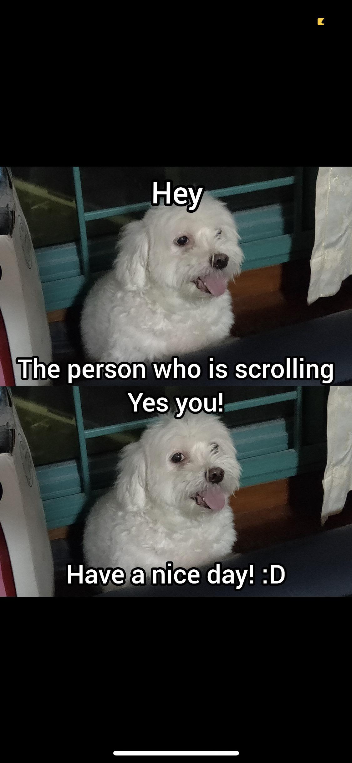 Have A Better Day Meme