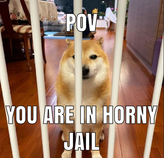 Bonk! | POV Memes | Know Your Meme