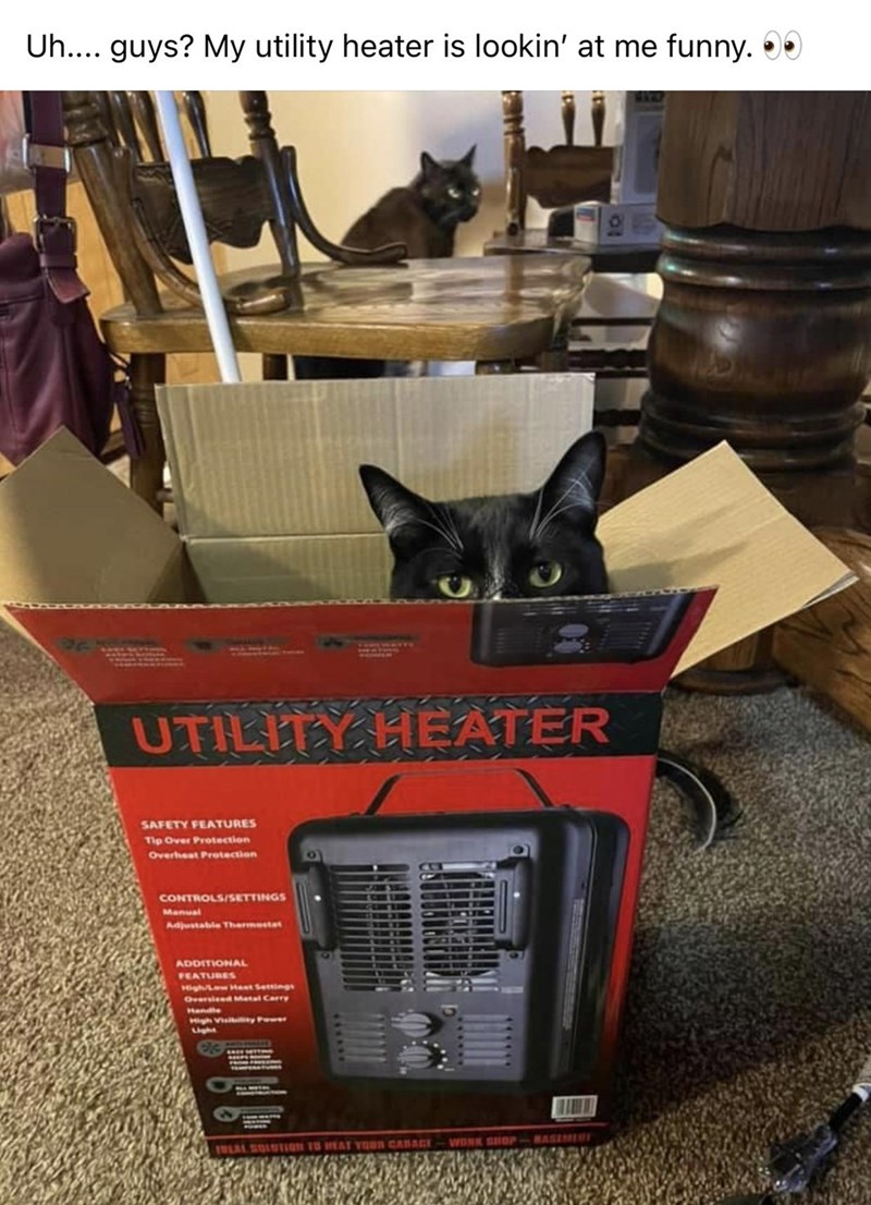 That's one sarcastic looking heater | Know Your Meme