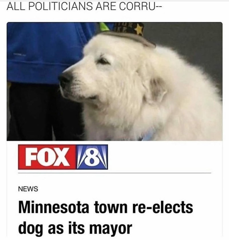 Now that's my kind of politician | Know Your Meme