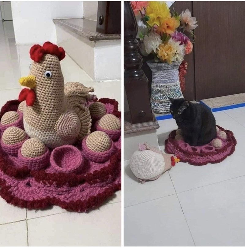Look at me. I'm the chicken now. | Cats | Know Your Meme