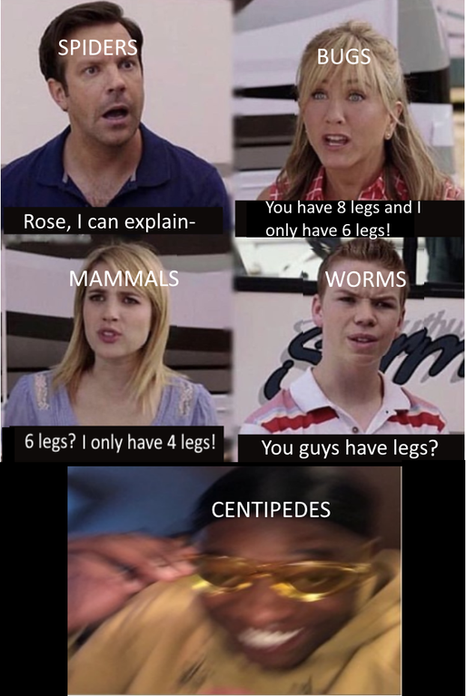  cue Dramatic Music We re The Millers Know Your Meme