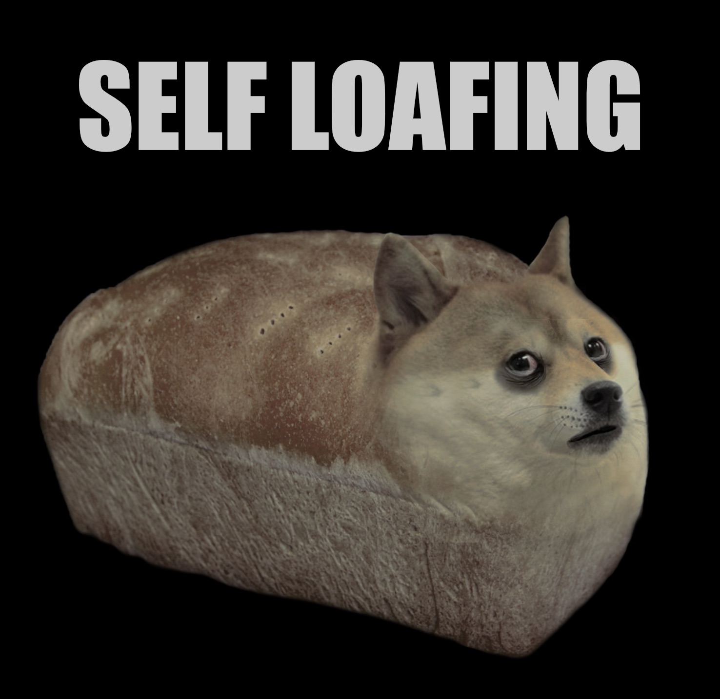 Self Loafing | Ironic Doge Memes | Know Your Meme