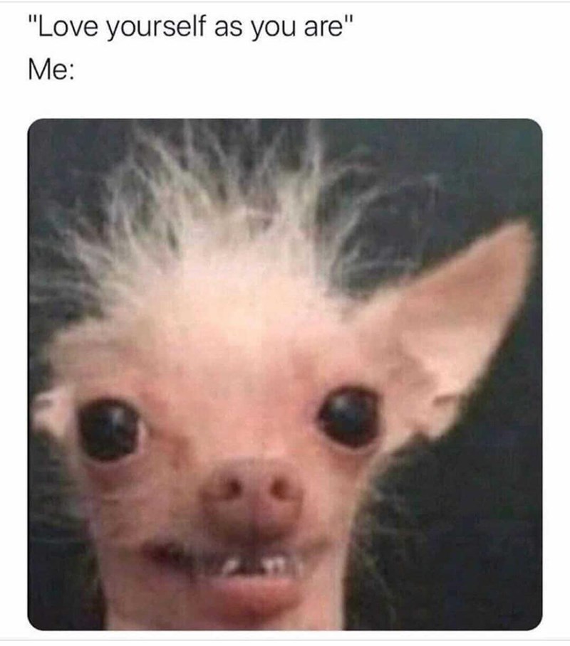 I'm trying so hard | Dogs | Know Your Meme