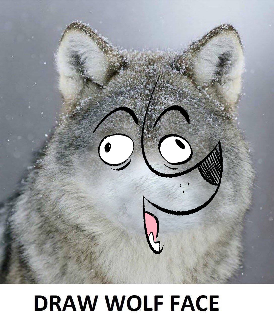 Wulf ^_^ by FtK_Artist | Draw Wolf Face | Know Your Meme