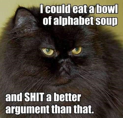 that's brutal... | Cats | Know Your Meme