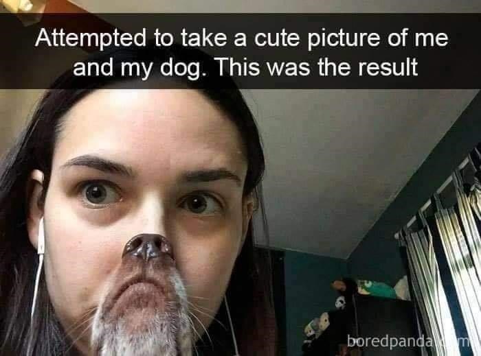 ...Nina? | Dogs | Know Your Meme