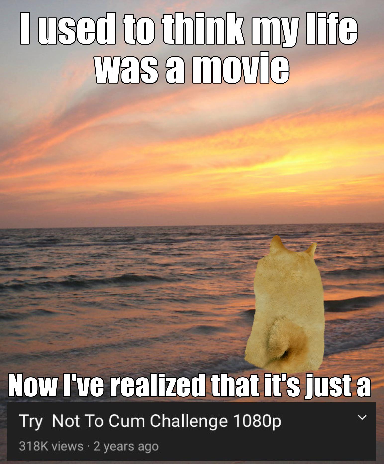 Impossible Challenge r dogelore Ironic Doge Memes Know Your Meme