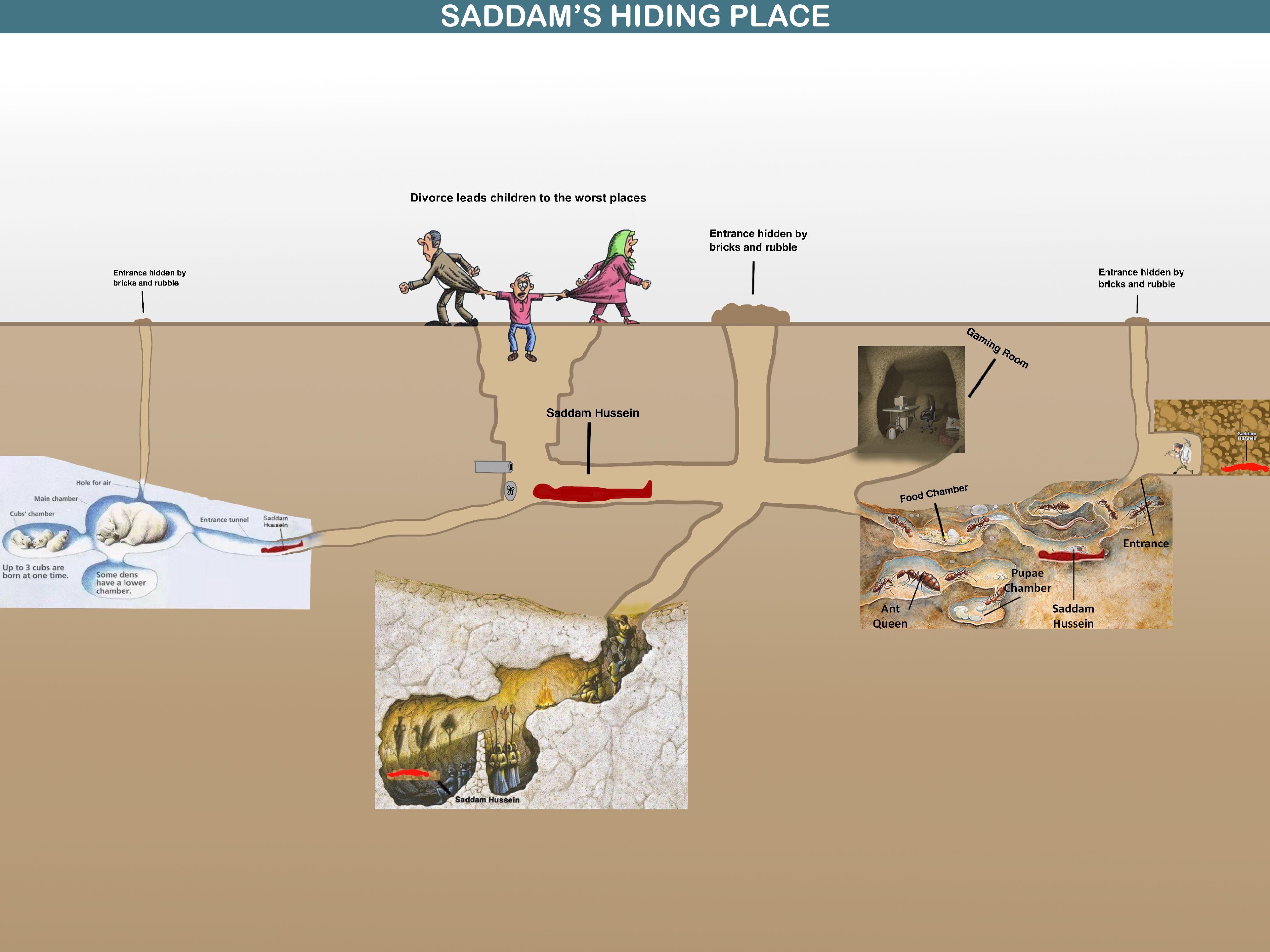 Saddam s Hiding Place Full View Saddam Hussein s Hiding Place