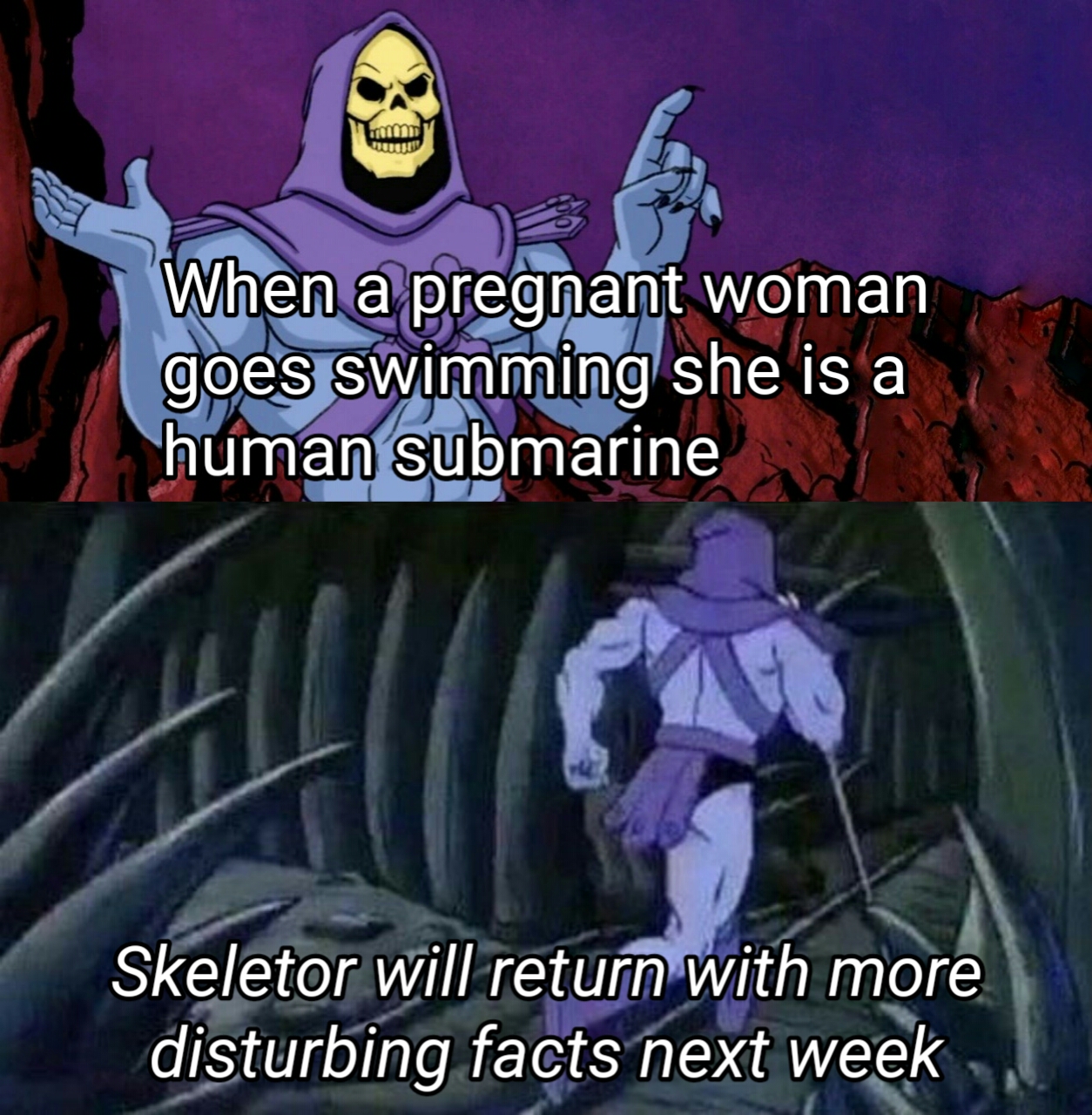 Skeletor Meme Cecille crook