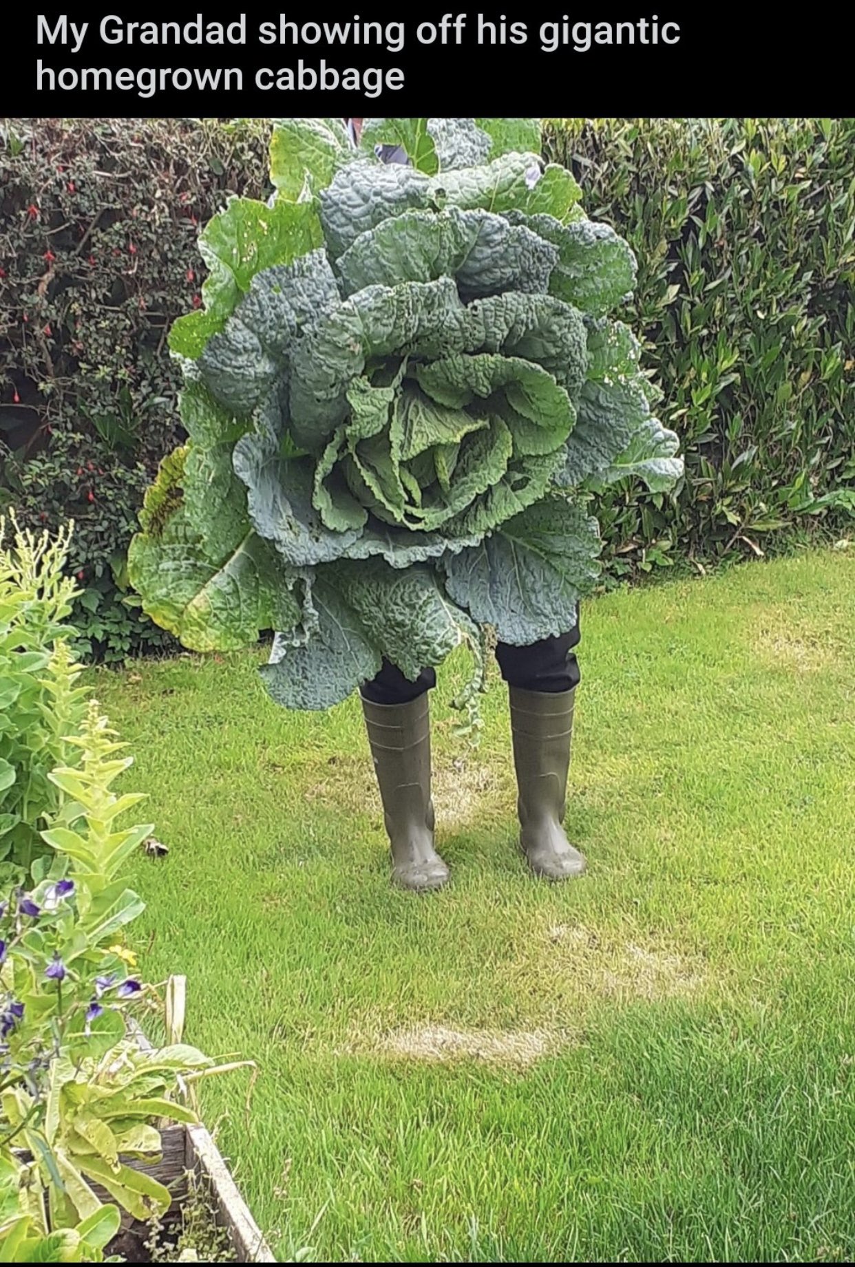 twitter: @DudespostingWs | Know Your Meme