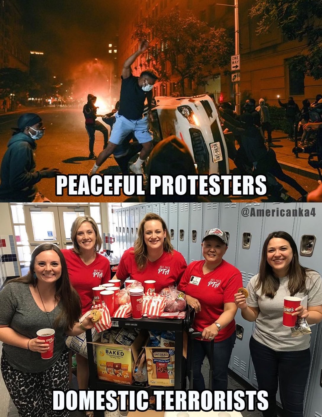 The difference between peaceful protesters and domestic terrorists ...