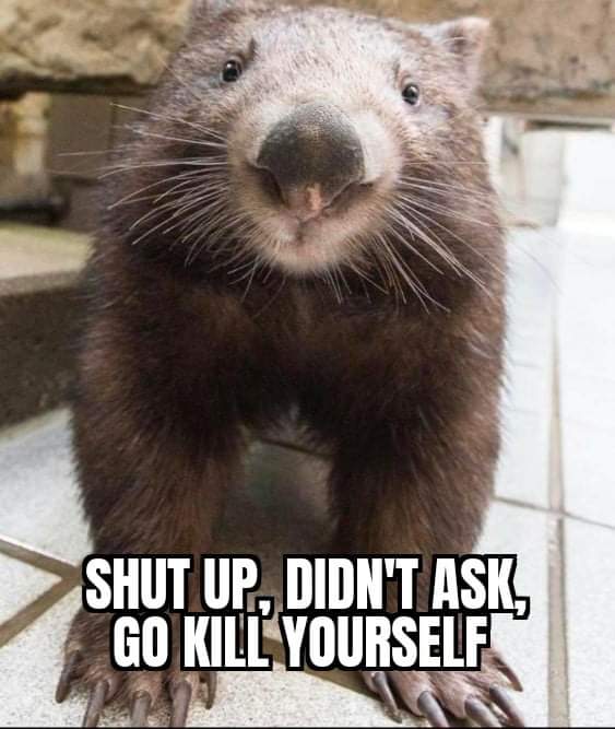 Please... tell me less. | /r/okbuddyretard | OkBuddyRetard | Know Your Meme