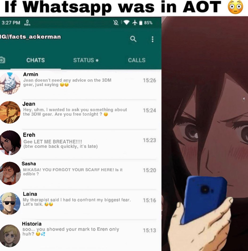 If WhatsApp Was In AOT Mikasa Version If WhatsApp Was In X I 