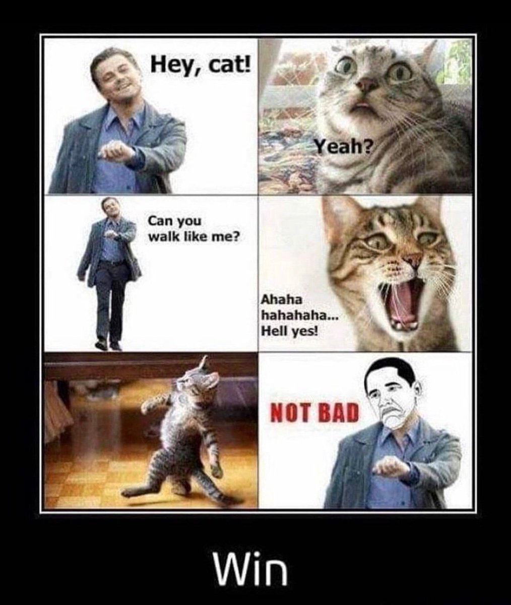 Baffling | Know Your Meme