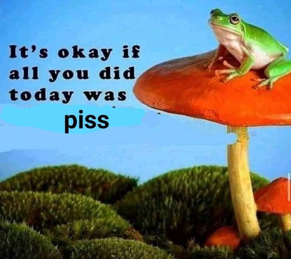 Hey You Did Good Friend r wholesomememes Wholesome Memes Know Hey You Did Good Friend r wholesomememes Wholesome Memes Know