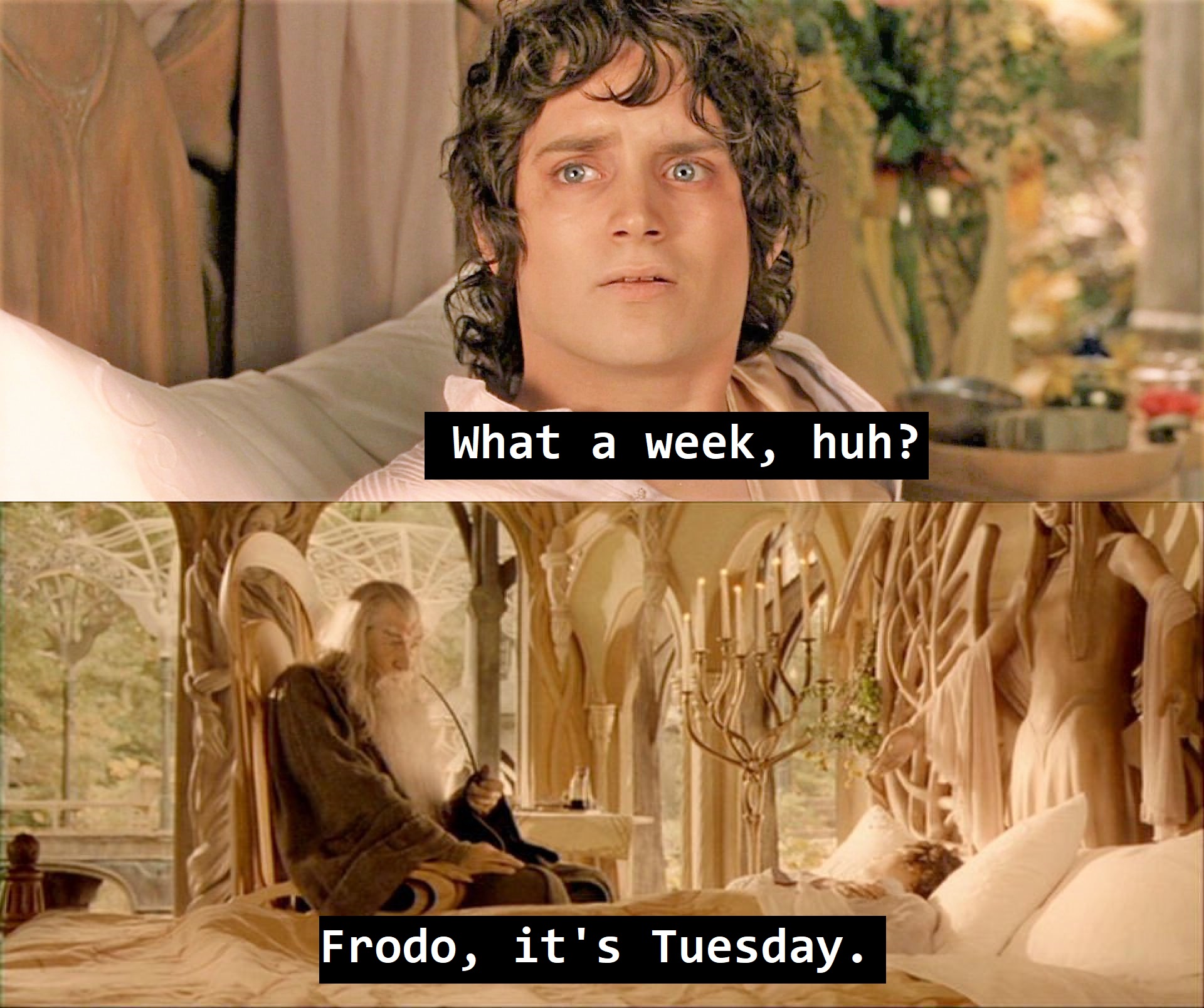 Time Passes Differently In The House Of Elrond What A Week Huh