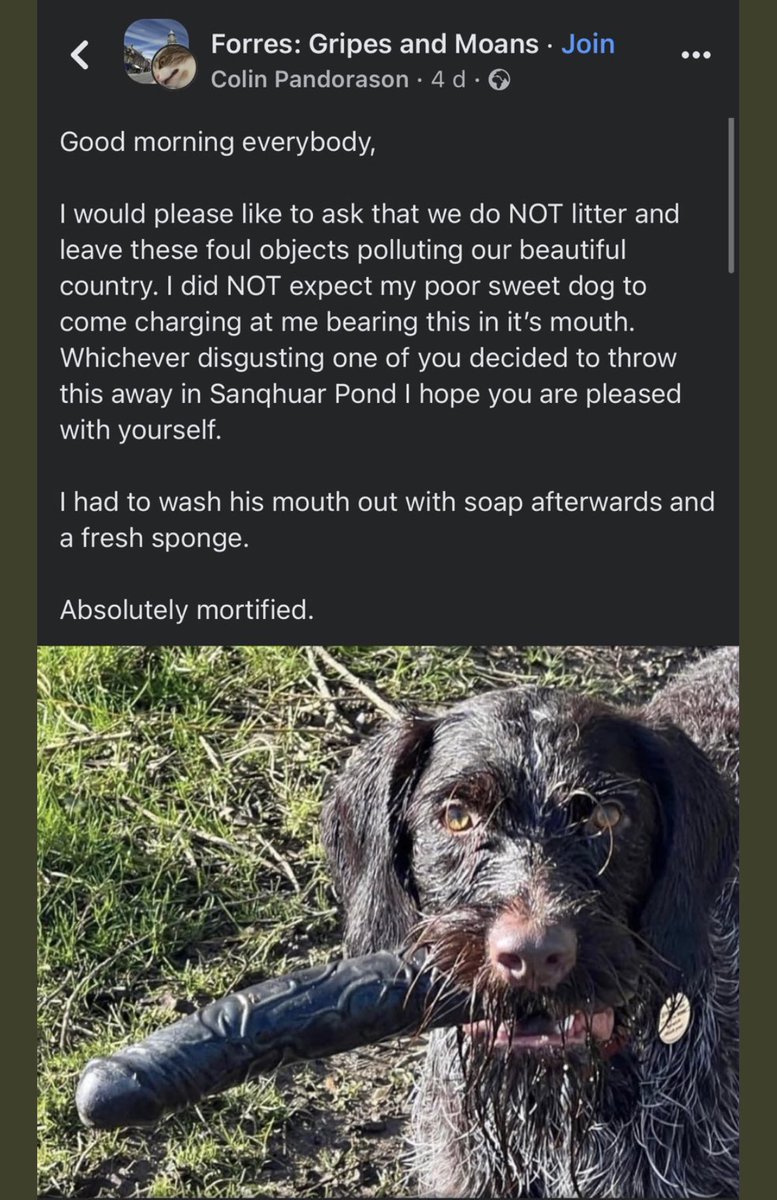 Absolutely Mortified, But Still Will Make My Dog Pose With The ...