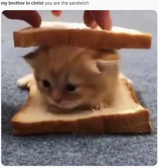 Brother My Brother In Christ Know Your Meme