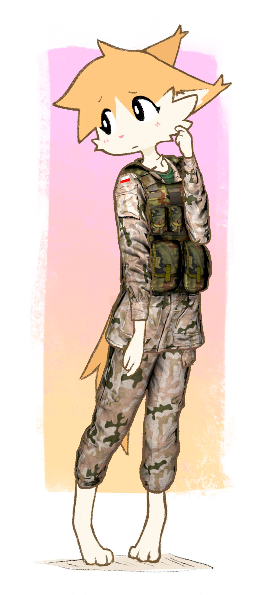 Average Male Soldier in the Polish Army | Furries | Know Your Meme