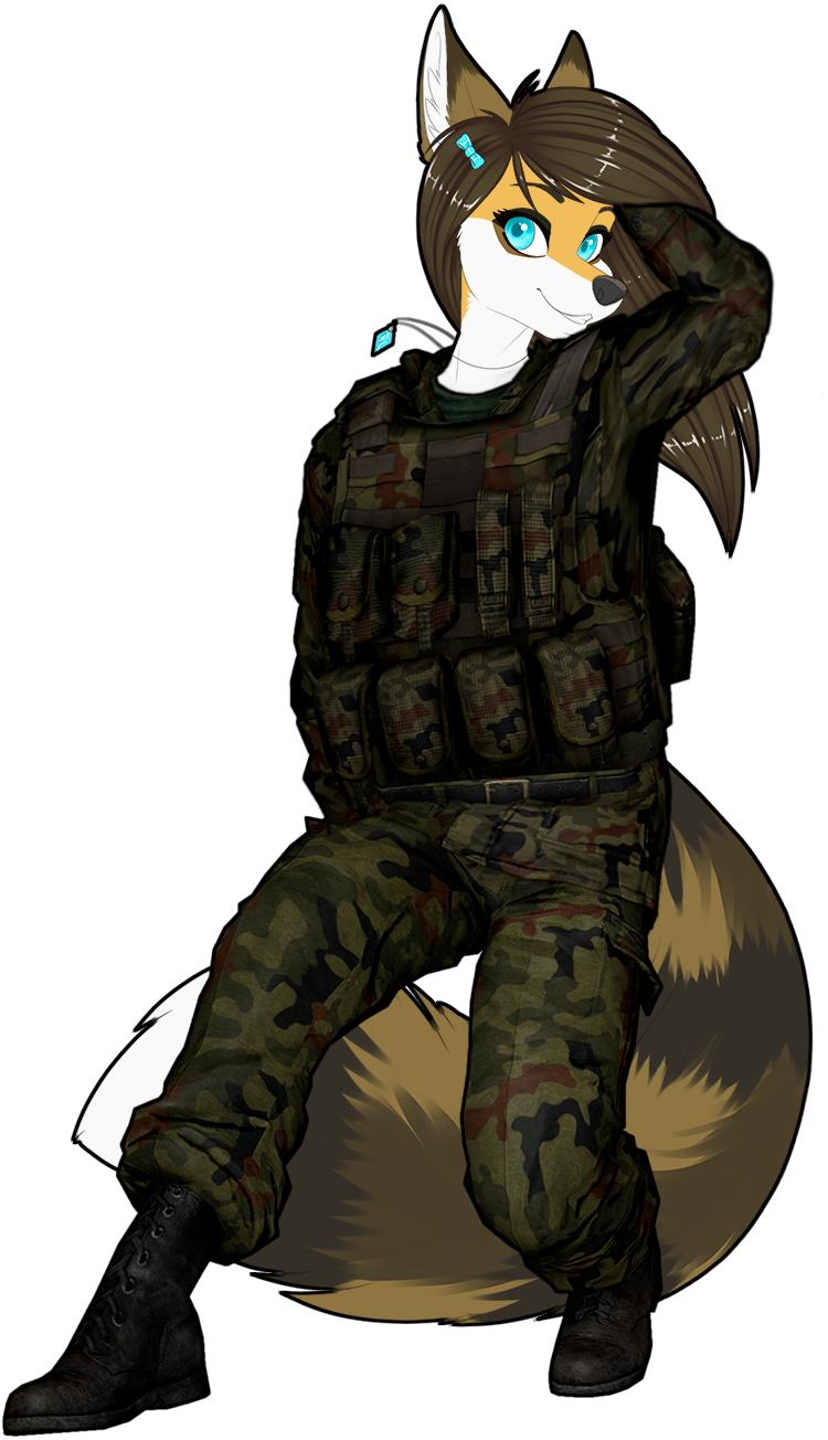 Polish Furry Soldier | Furries | Know Your Meme