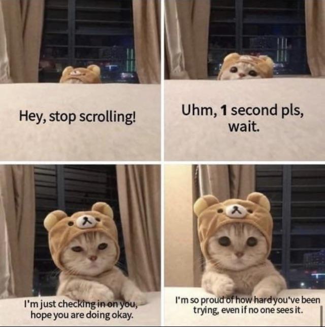 Just Checking On You