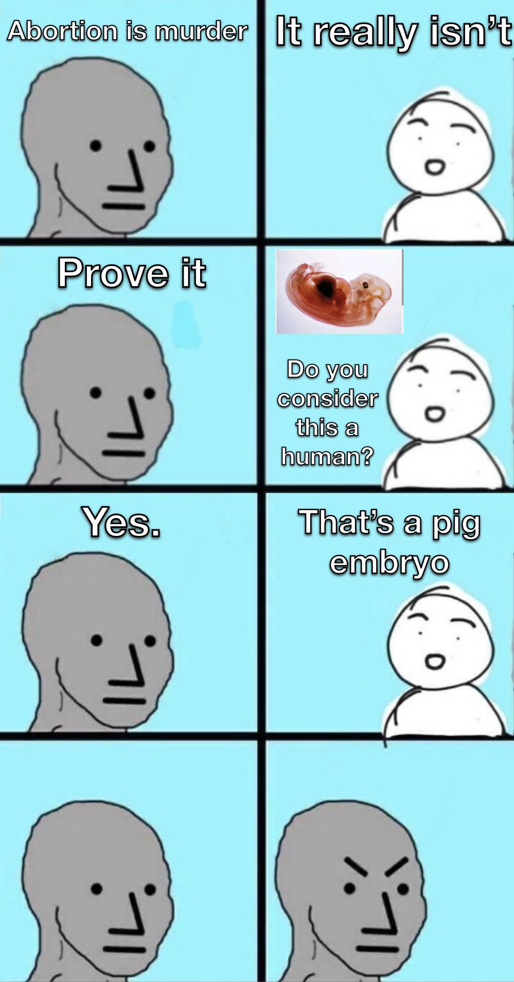Pig Embryo Roe v. Wade | Pig Embryo | Know Your Meme