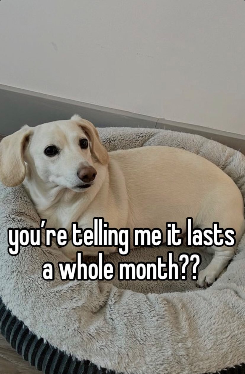 You re Telling Me It Lasts A Whole Month Homophobic Dog Not Too Fond Of Gay People Know 