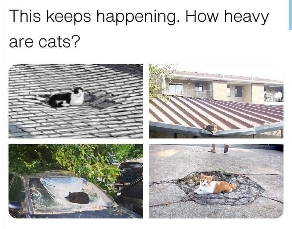 Correlation | Know Your Meme