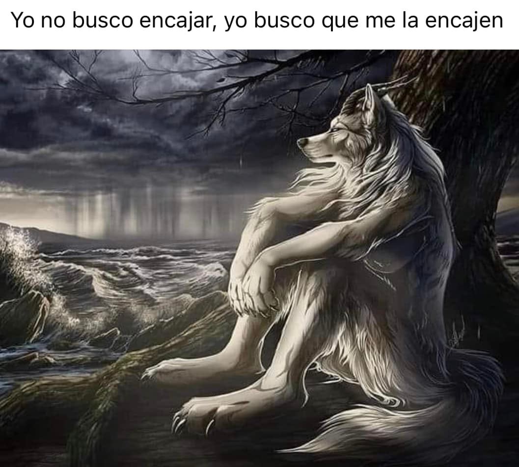 Lobo Solitario Wolf Sitting Meme Emo Wolf Lobos Con Frases 