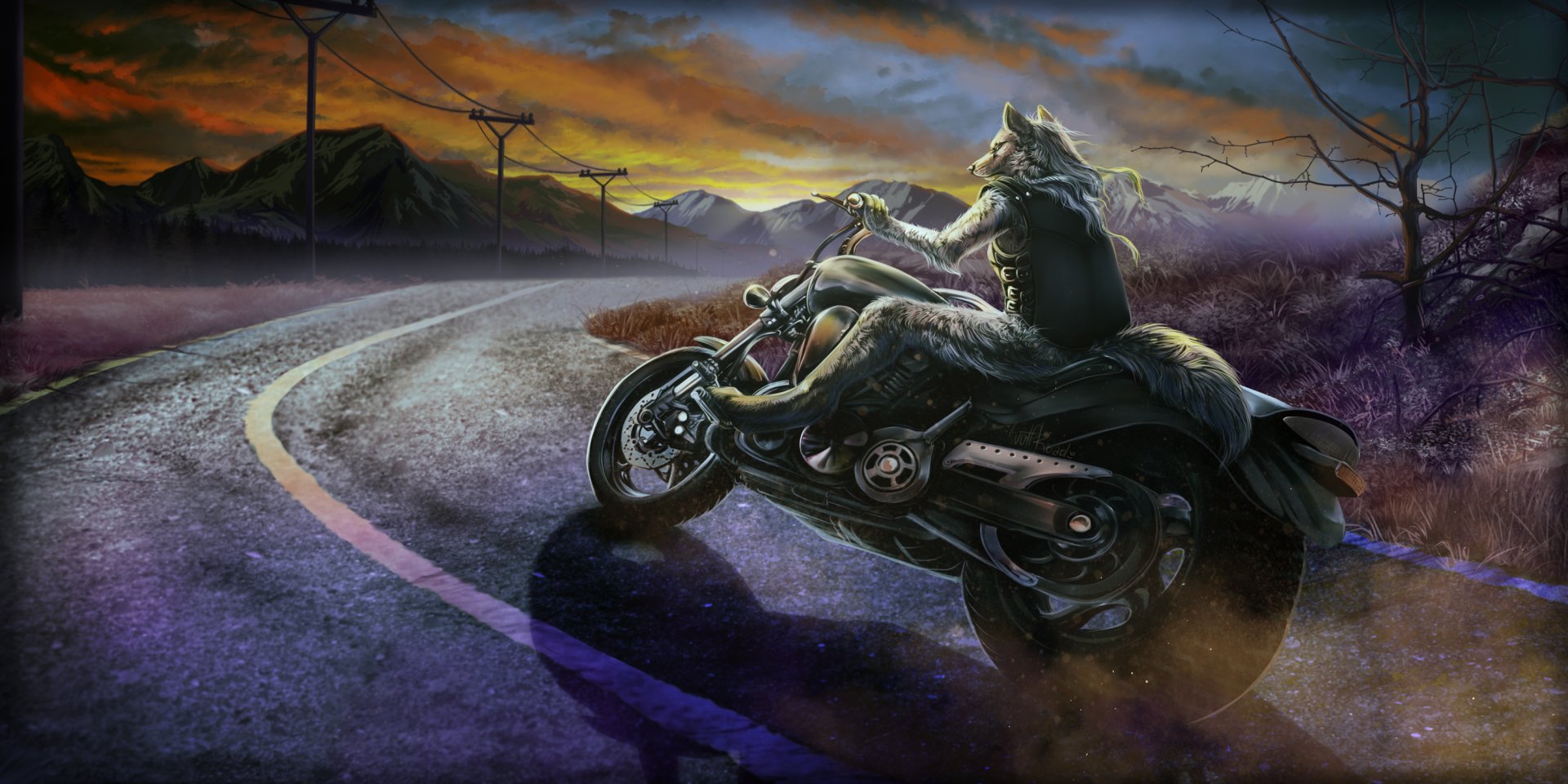 Wolf On Motorcycle Meme Emo Wolf Lobos Con Frases Sitting Wolf 