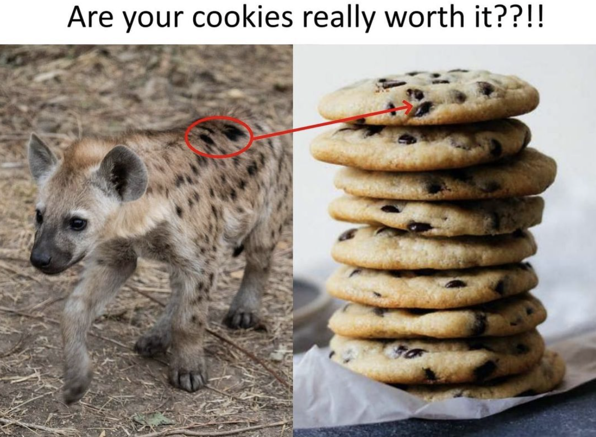 Is It Really Worth It Is It Really Worth It Know Your Meme