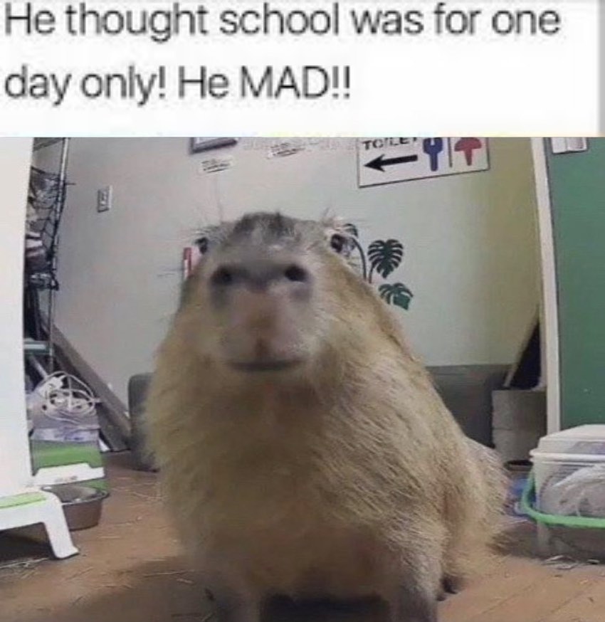 He Thought School Was For One Day Only He MAD Meme He Thought School 