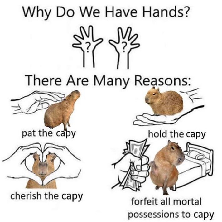 The Most Important Reasons Why Do We Have Hands There Are Many The Most Important Reasons Why Do We Have Hands There Are Many